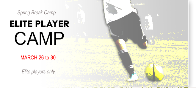 Vision Soccer Training - Professional Soccer and Futsal programs in the ...