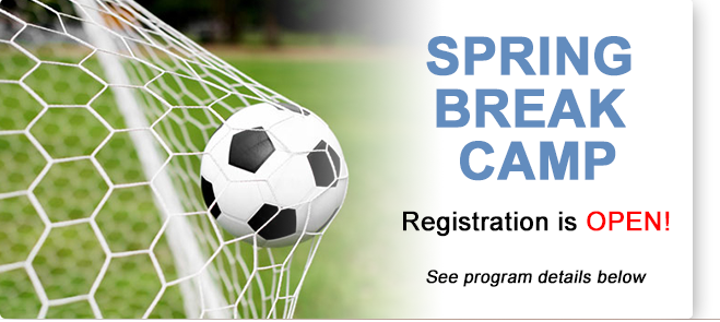 Vision Soccer Training - Professional Soccer and Futsal programs in the ...