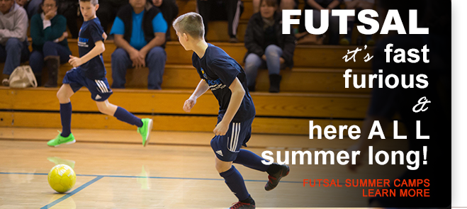 Vision Soccer Training - Professional Soccer and Futsal programs in the ...